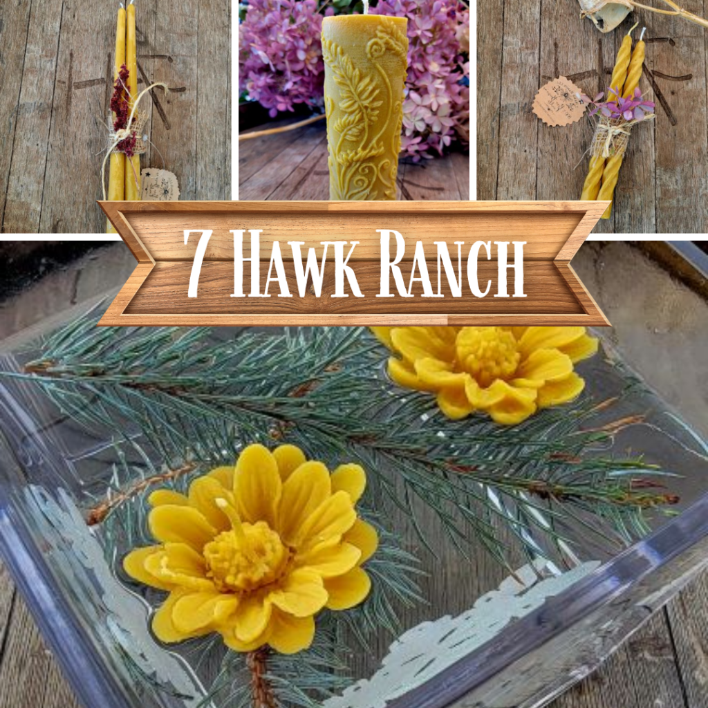 New Year, New Vendor: 7 Hawk Ranch - Carson Valley Meats