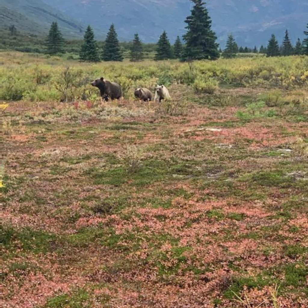 Mike and Karin's Excellent Alaskan Adventure! - Carson Valley Meats